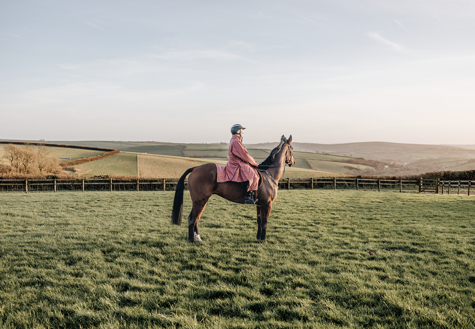 Choose the right EQUIDRY