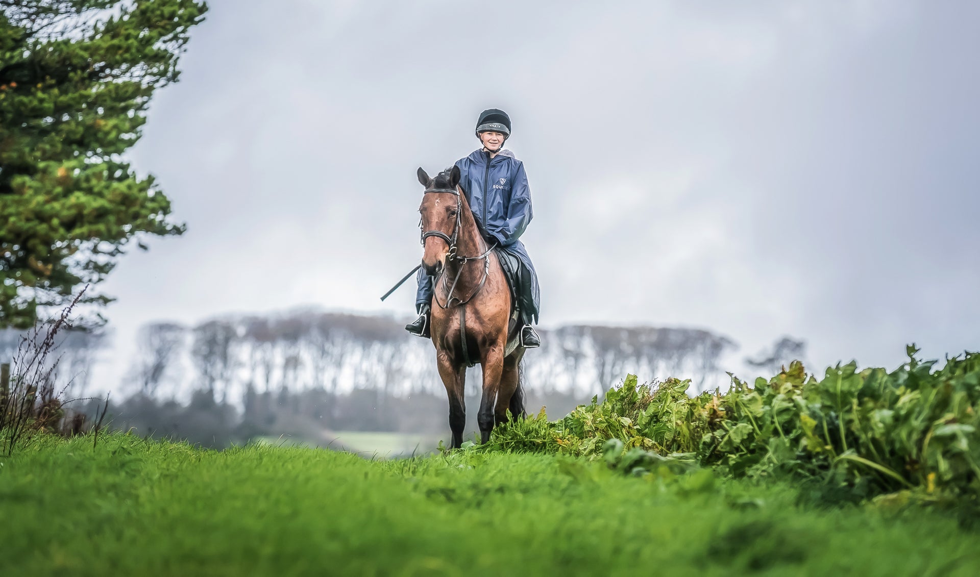 Size Guide – EQUIDRY