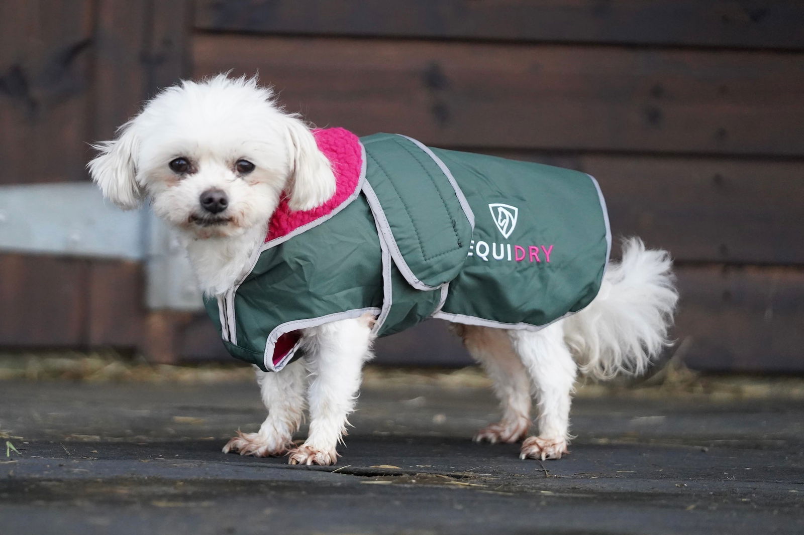 Waterproof Dog Coat | Black Forest Green/Peacock Pink – EQUIDRY