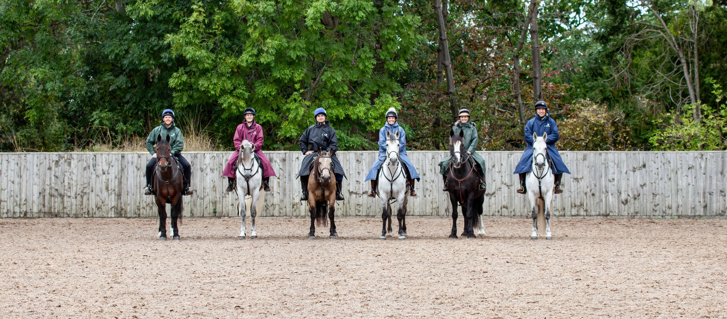 EQUIDRY Discover Our Colours