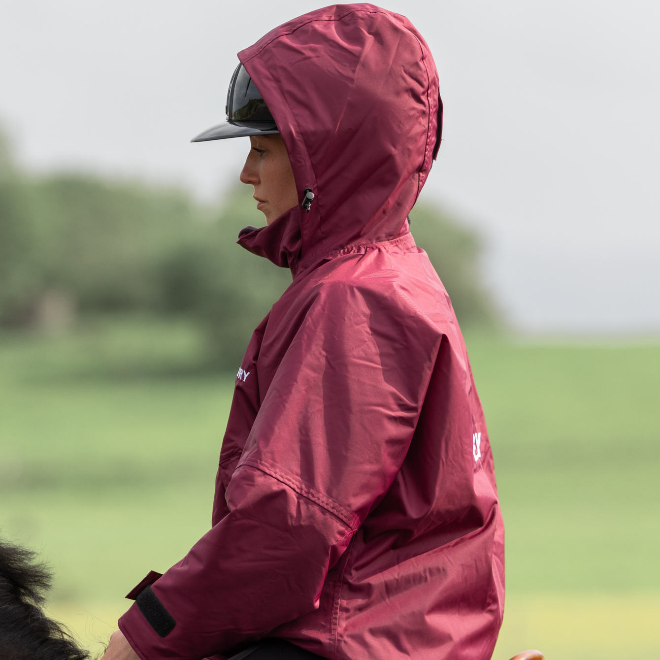 EQUIDRY Shortie Women's | Thin Fleece | Plum