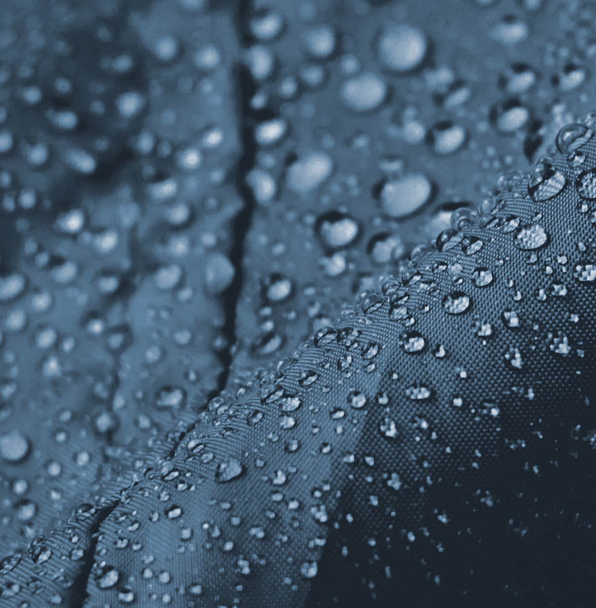 All Rounder Evolution Lite | Adults – EQUIDRY