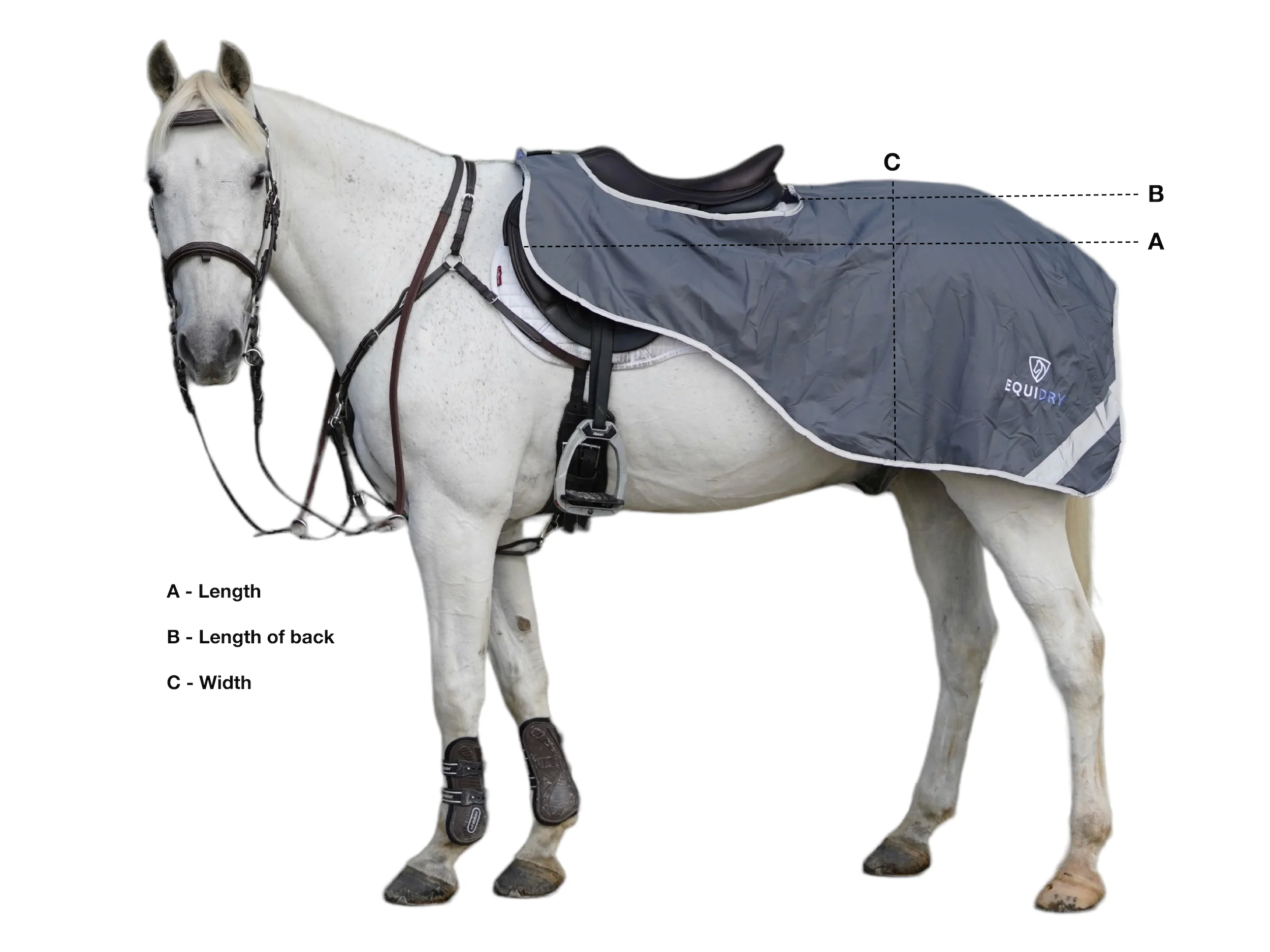 EQUIDRY Exercise sheet size guide